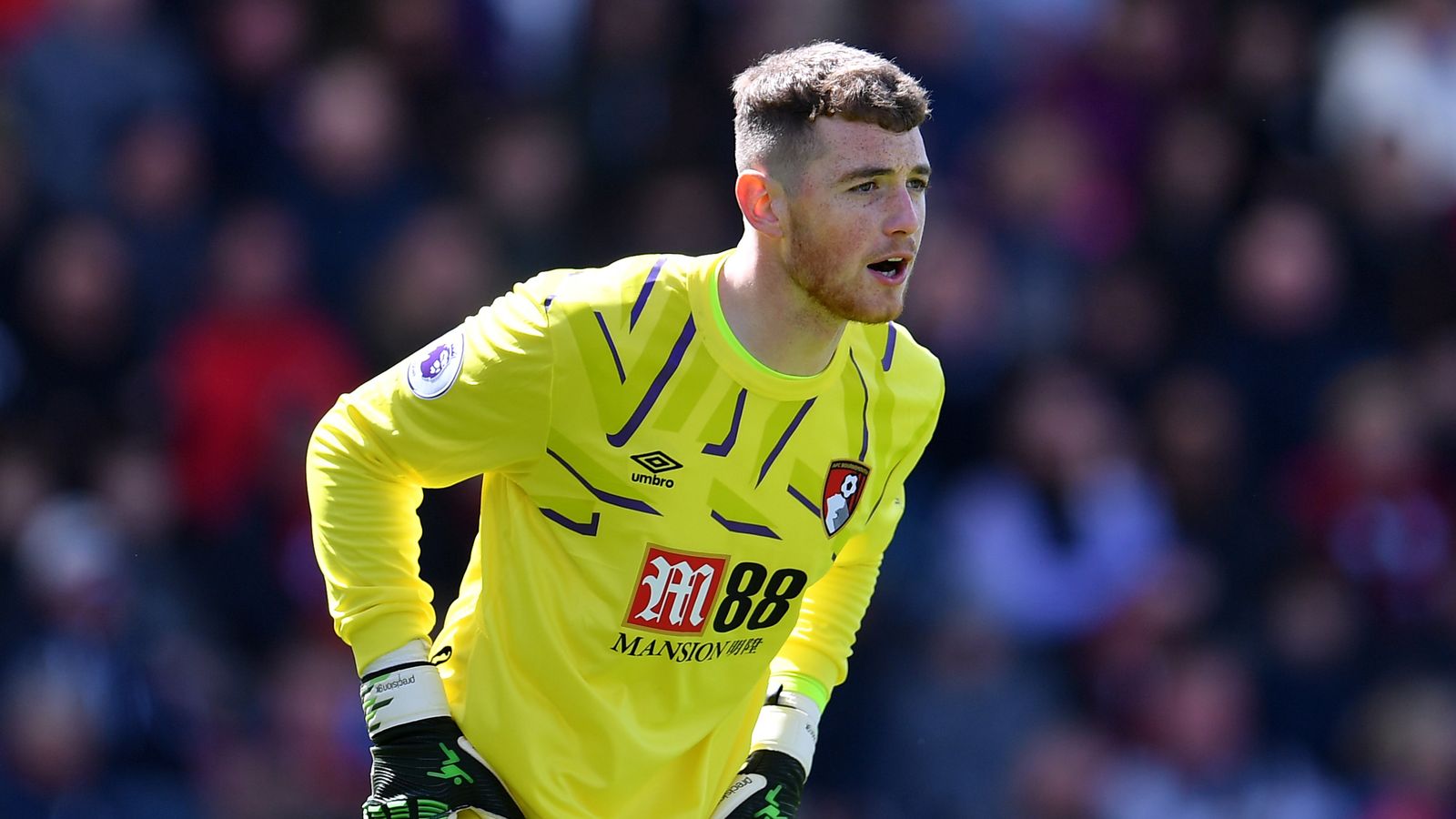 Everton ‘in talks’ to sign Bournemouth goalkeeper Mark Travers